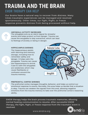Trauma and the Brain - Infographic - SafeCare BC